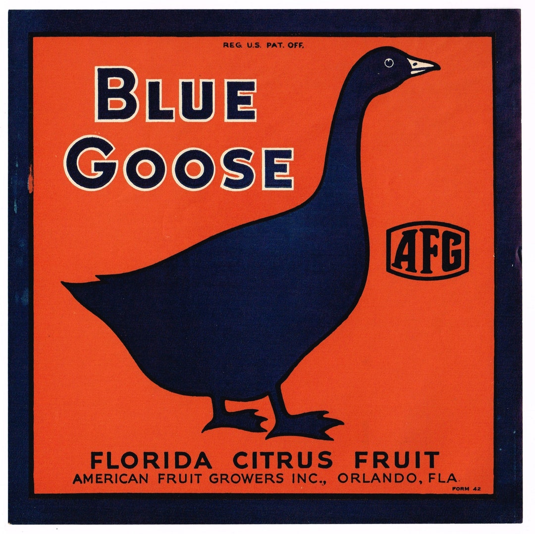 Original Vintage Florida Orange Citrus Crate Label C1930s Blue - Etsy