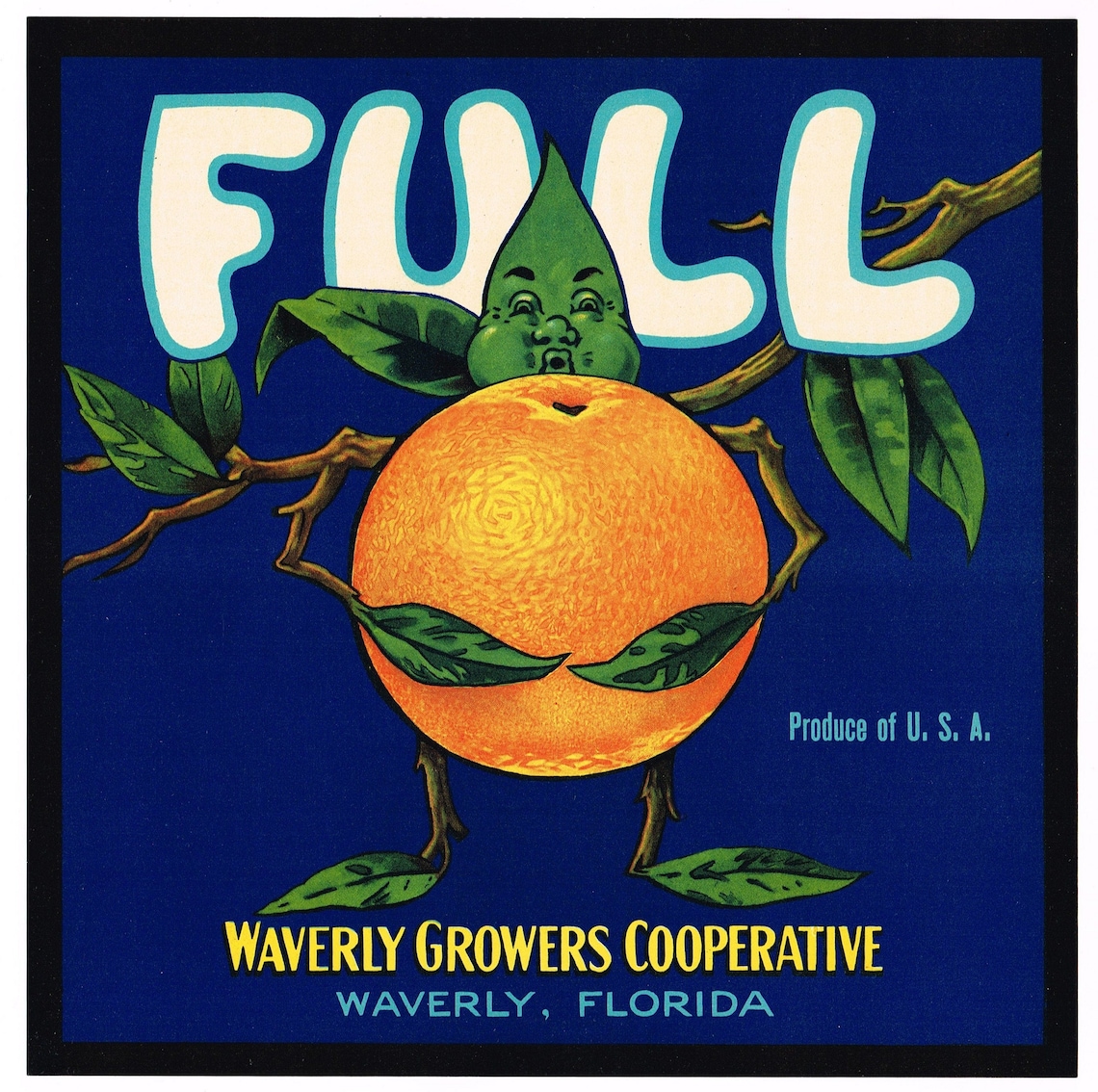 Original vintage Florida citrus crate label c1940 Full | Etsy