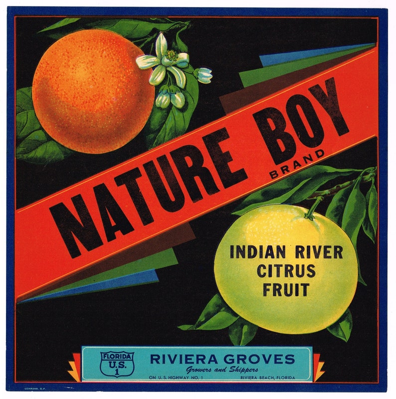 Original vintage Florida citrus crate label c1930s Nature Boy | Etsy