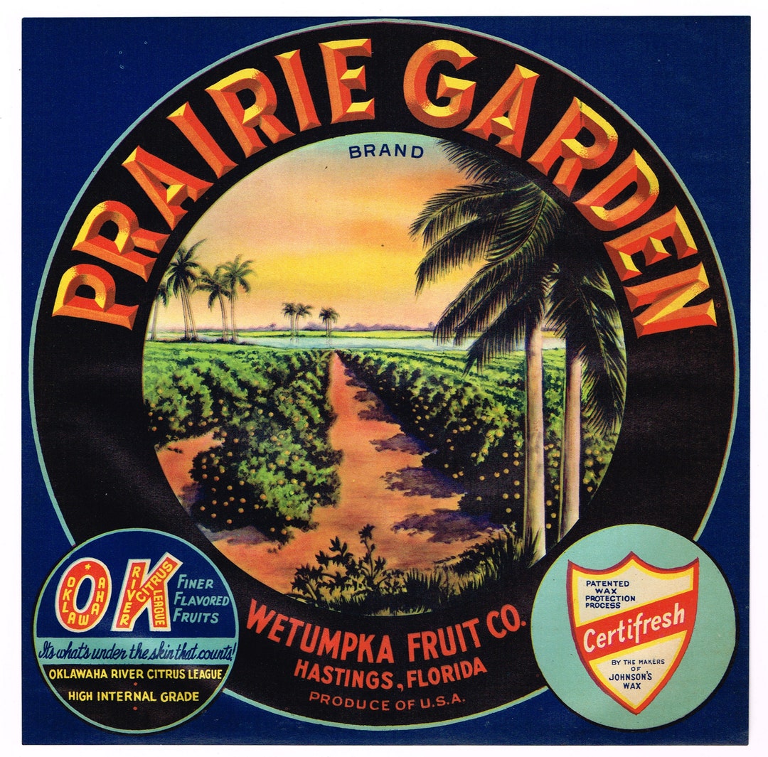 Original Vintage Florida Citrus Crate Label C1930 Prairie Garden ...