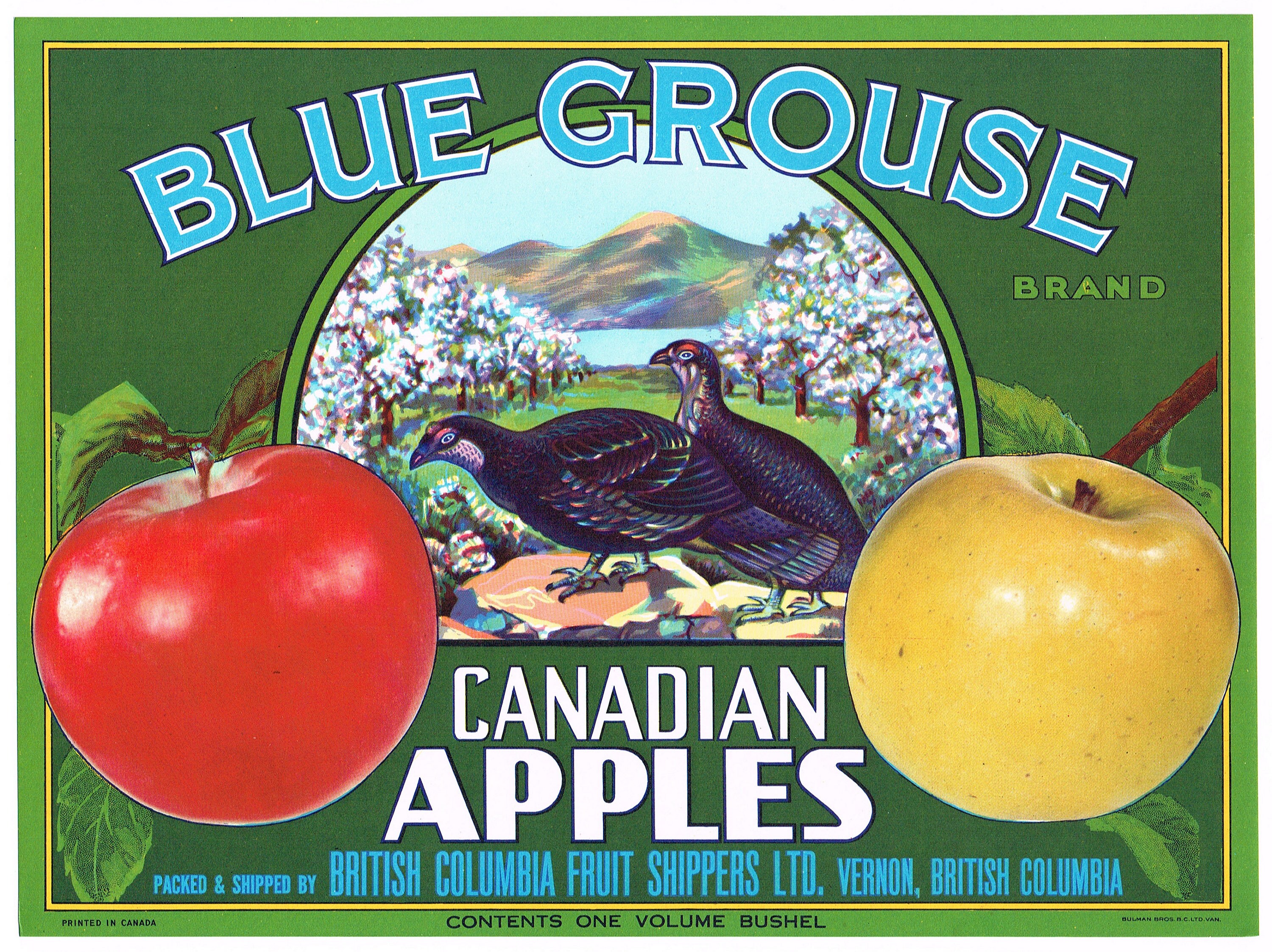 Original Vintage Apple Crate Label 1950s Blue Grouse Vernon British ...