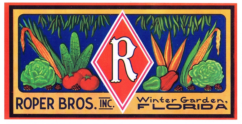 Original Vintage Florida Citrus Crate Label C1930s Monogram R Roper ...