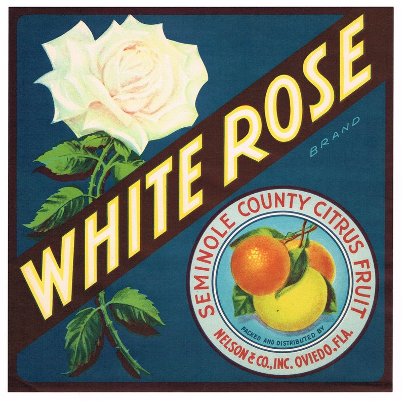 Original Vintage Florida Citrus Crate Label C1930s White Rose | Etsy