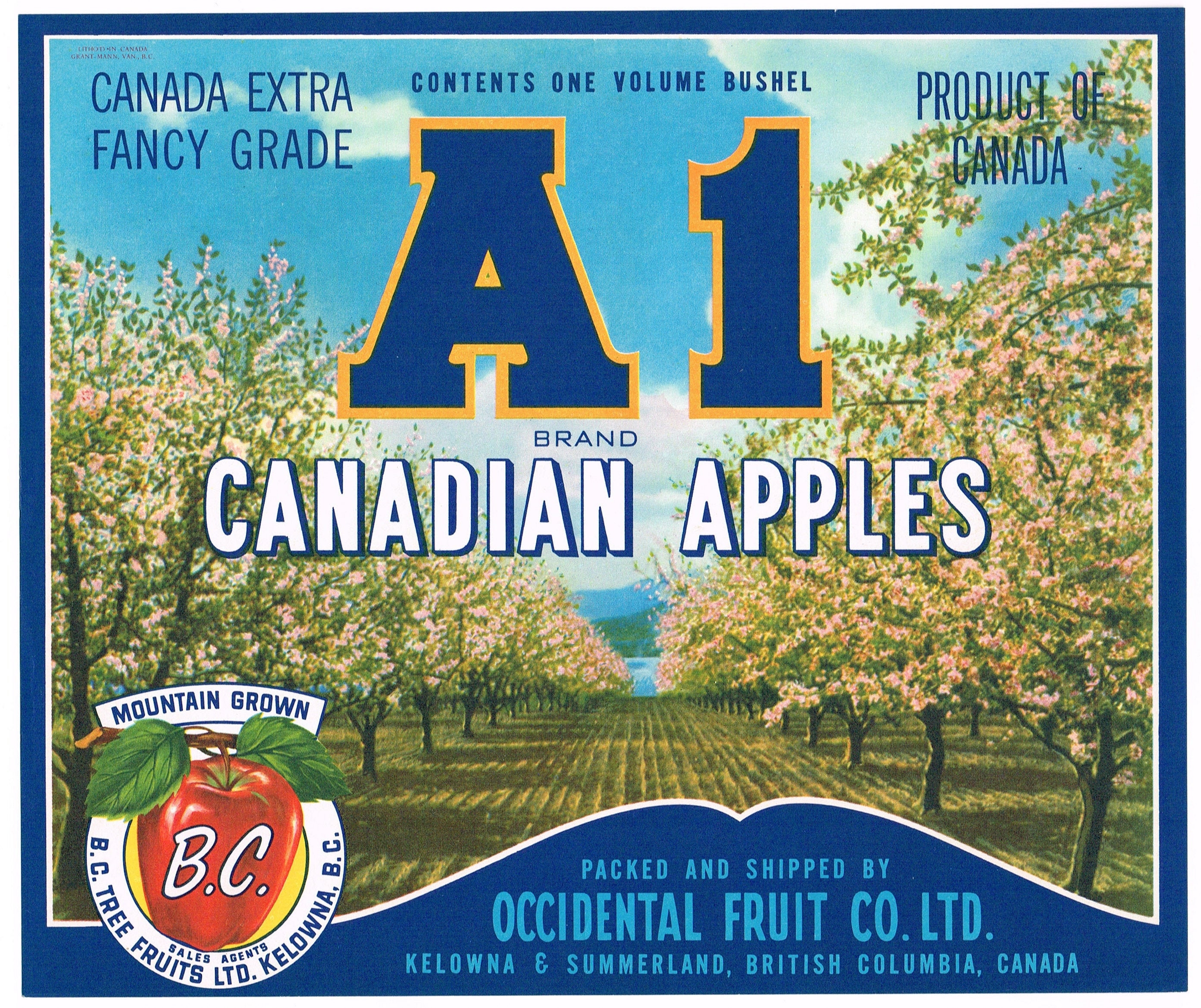 Original Vintage Apple Crate Label 1950s A1 Brand Kelowna Summerland ...