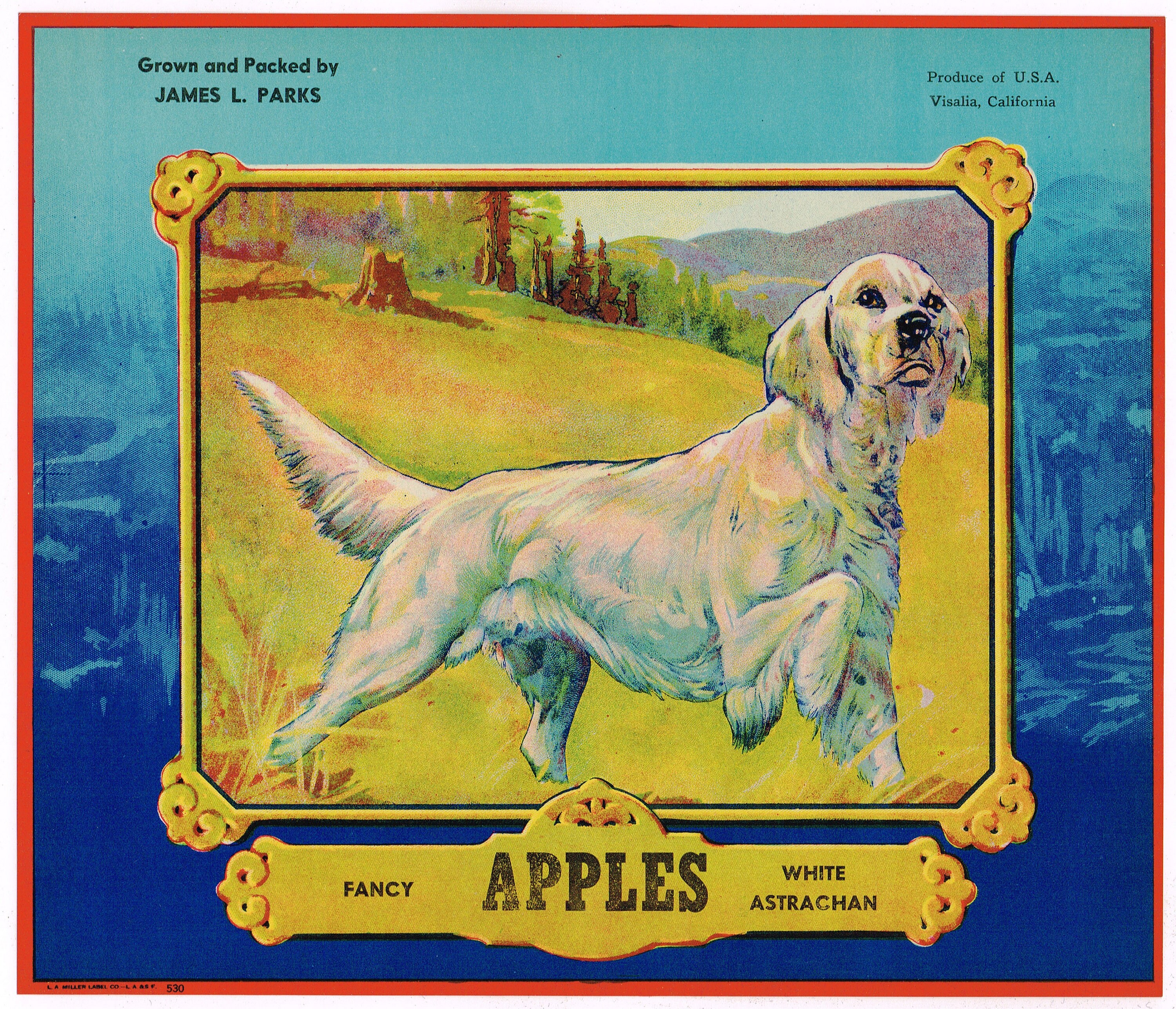 Original Vintage Apple Crate Label 1930s Retriever Dog Visalia ...