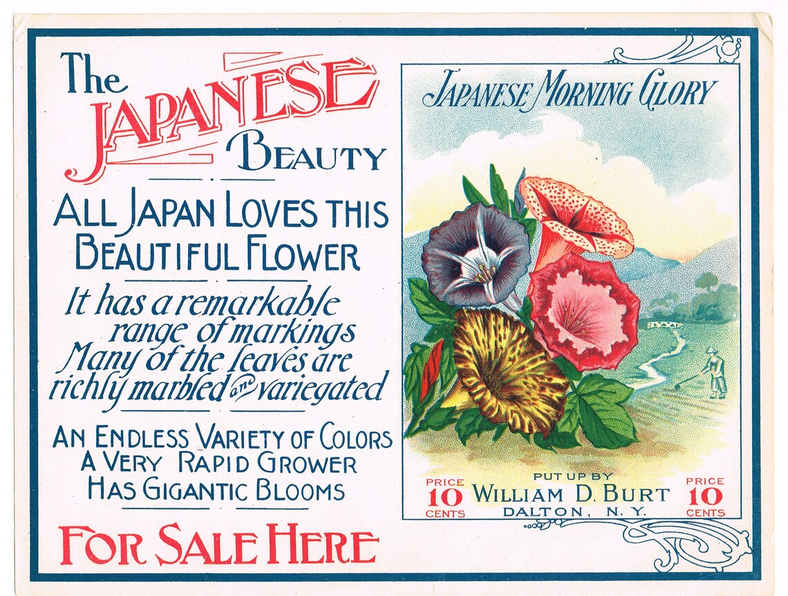 Original Vintage Paper Advertising Display Sign General Store | Etsy