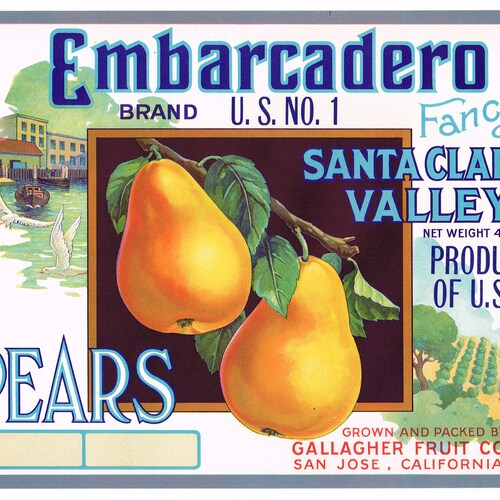 Original Vintage Pear Crate Label 1940s Tulip Yakima - Etsy