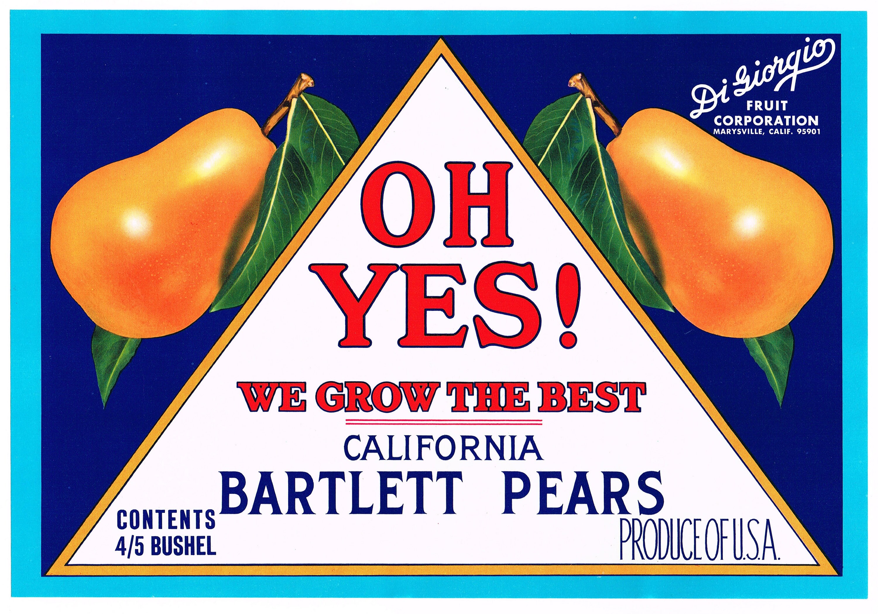 Original Vintage Pear Crate Label 1960s Oh Yes! We Grow the Best ...