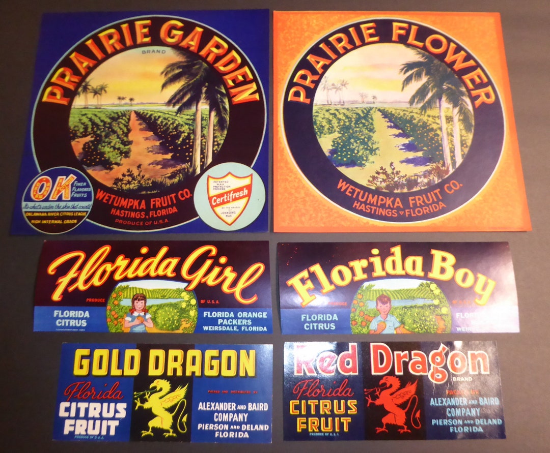 6 Different Original Vintage Florida Crate Labels 1930s-1940s Lot ...