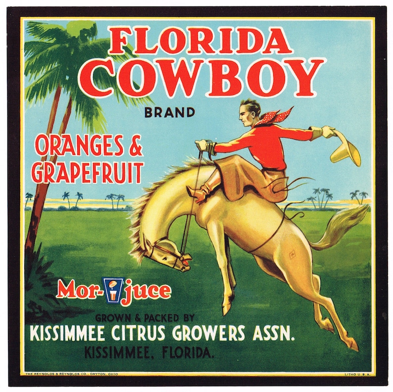 Original vintage Florida citrus crate label c1930 Florida | Etsy