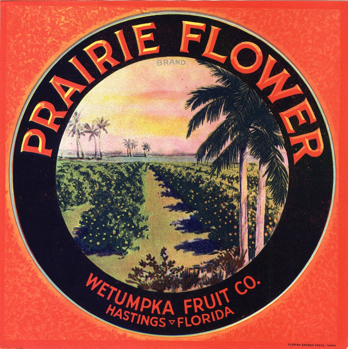 Original Vintage Florida Citrus Crate Label C1930 Prairie - Etsy