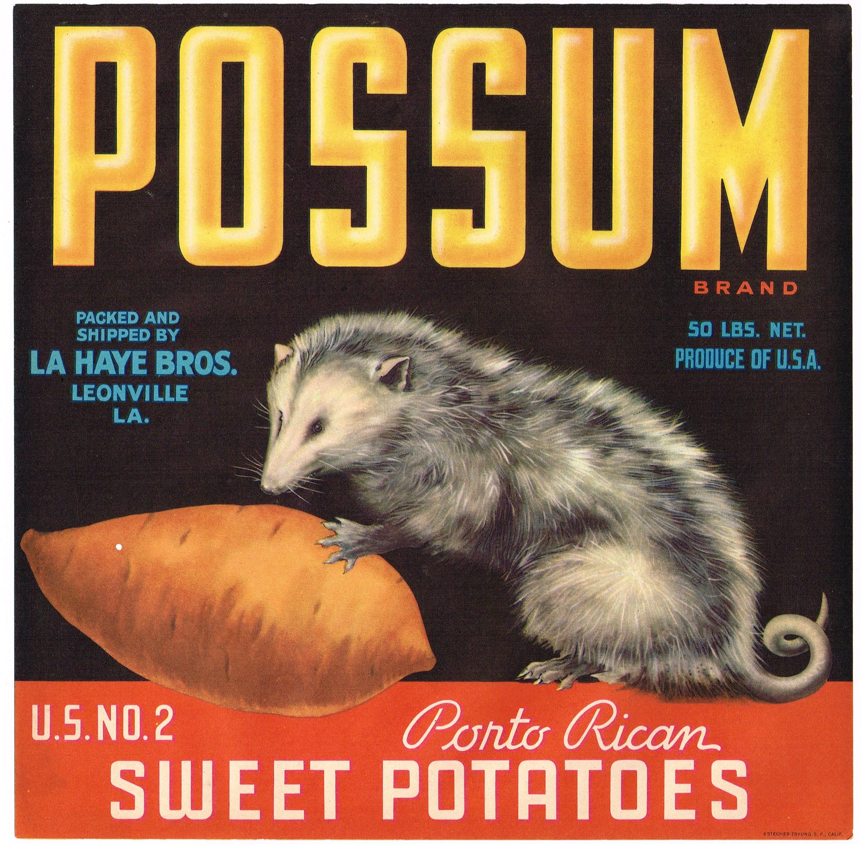 Original Vintage Yam Crate Label 1950s Possum Opossum Leonville ...