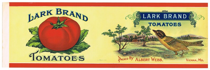 Original Vintage Tin Can Label C1910 Vienna Maryland Lark Beautiful ...