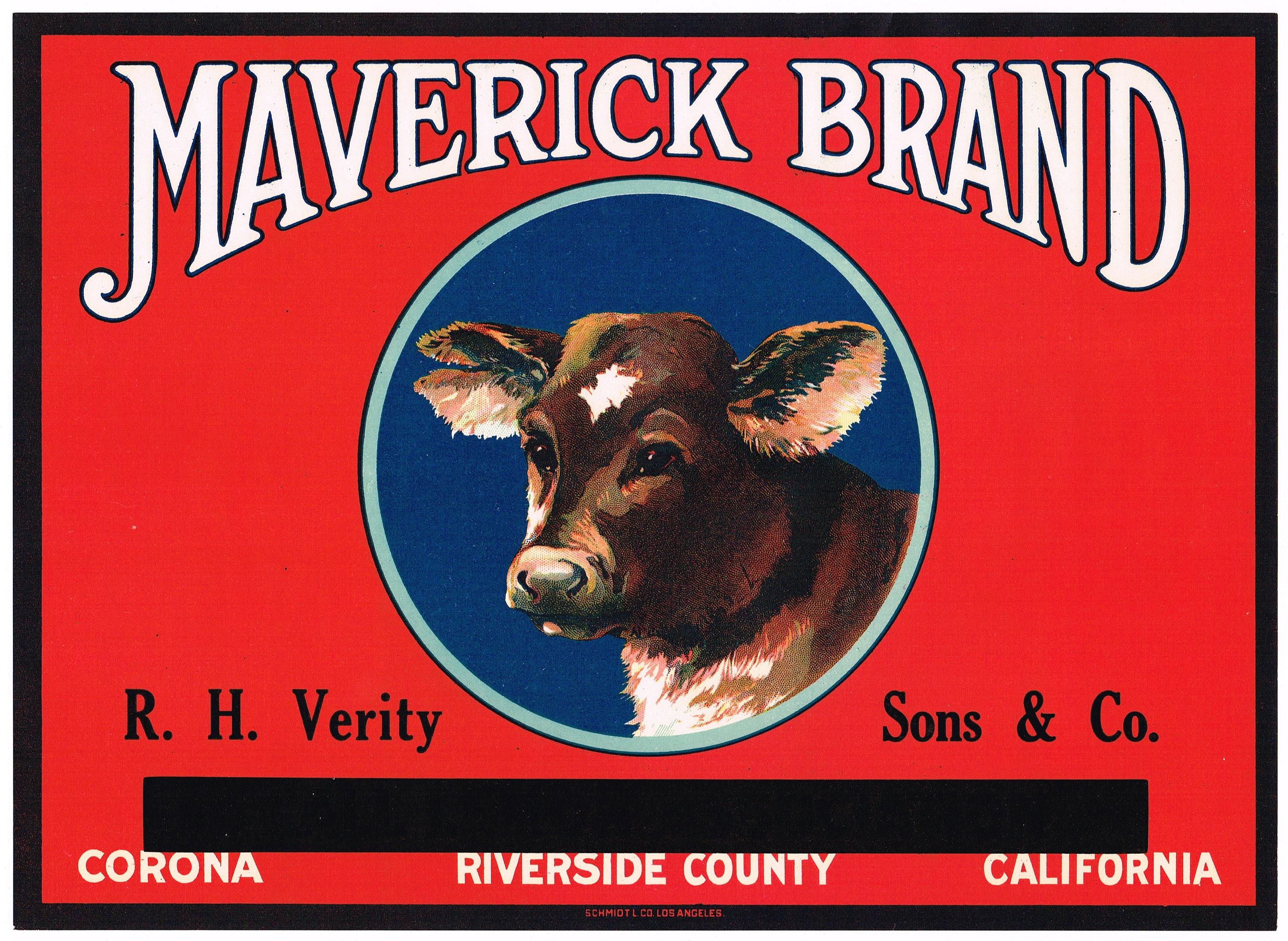 Maverick Cow
