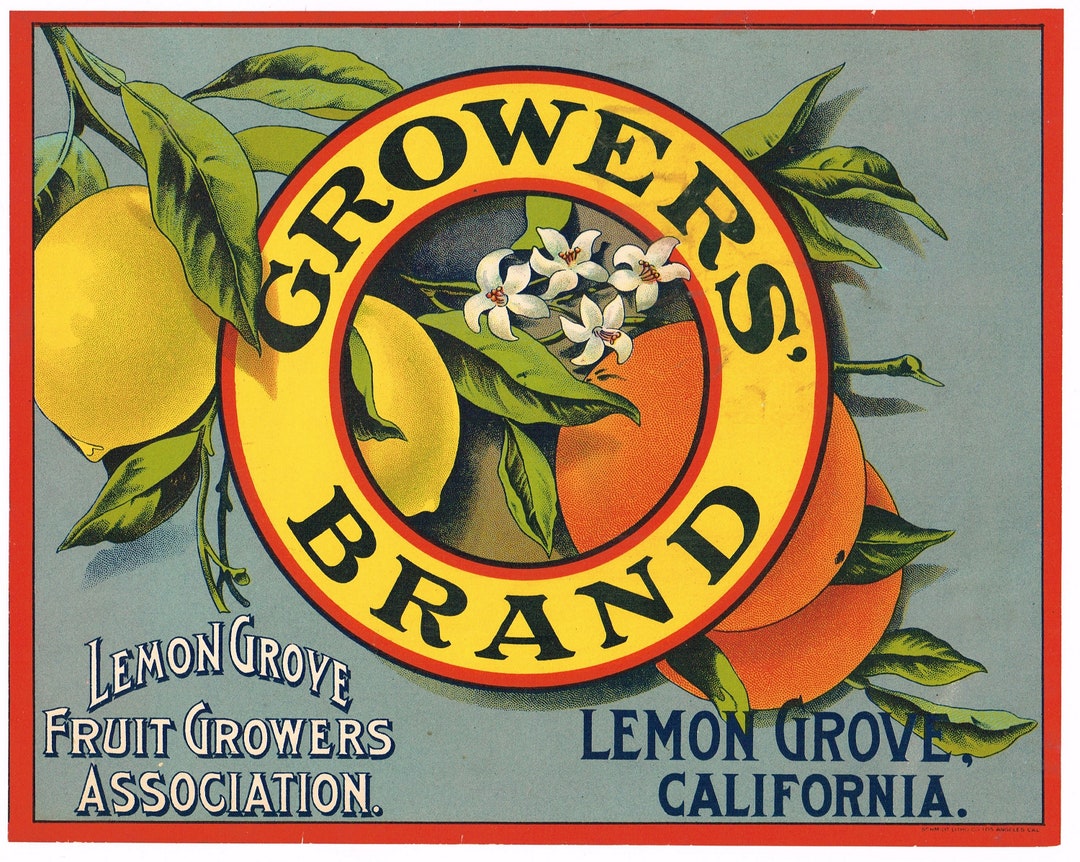 Original Vintage Lemon Crate Label C1910 Growers Brand Lemon Grove San ...