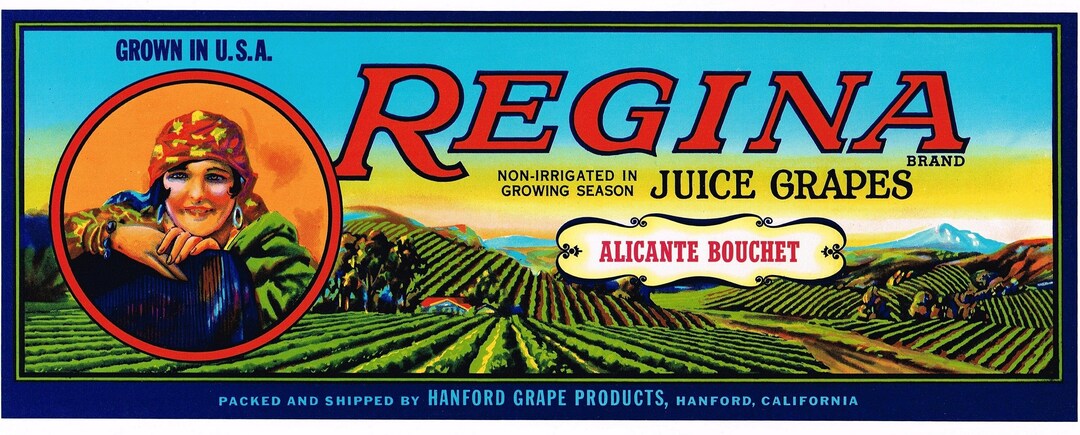 Original Vintage Grape Crate Label 1950s Regina Alicante Bouchet ...