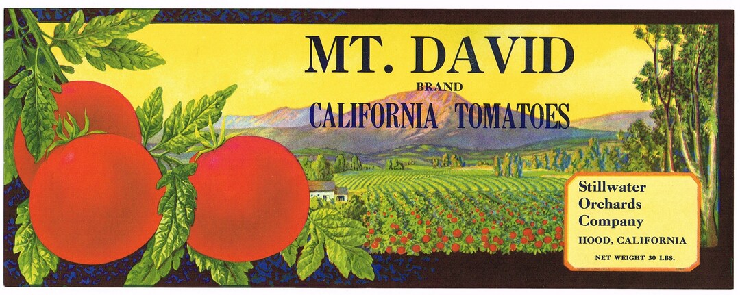 Original Vintage Tomatoes Crate Label 1930s Mt David Brand Hood ...