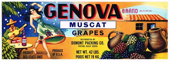 Original Vintage Grape Crate Label 1970s Genova Victor - Etsy