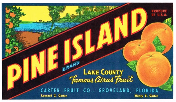 Original Vintage Florida Citrus Crate Label C1930 Pine Island | Etsy