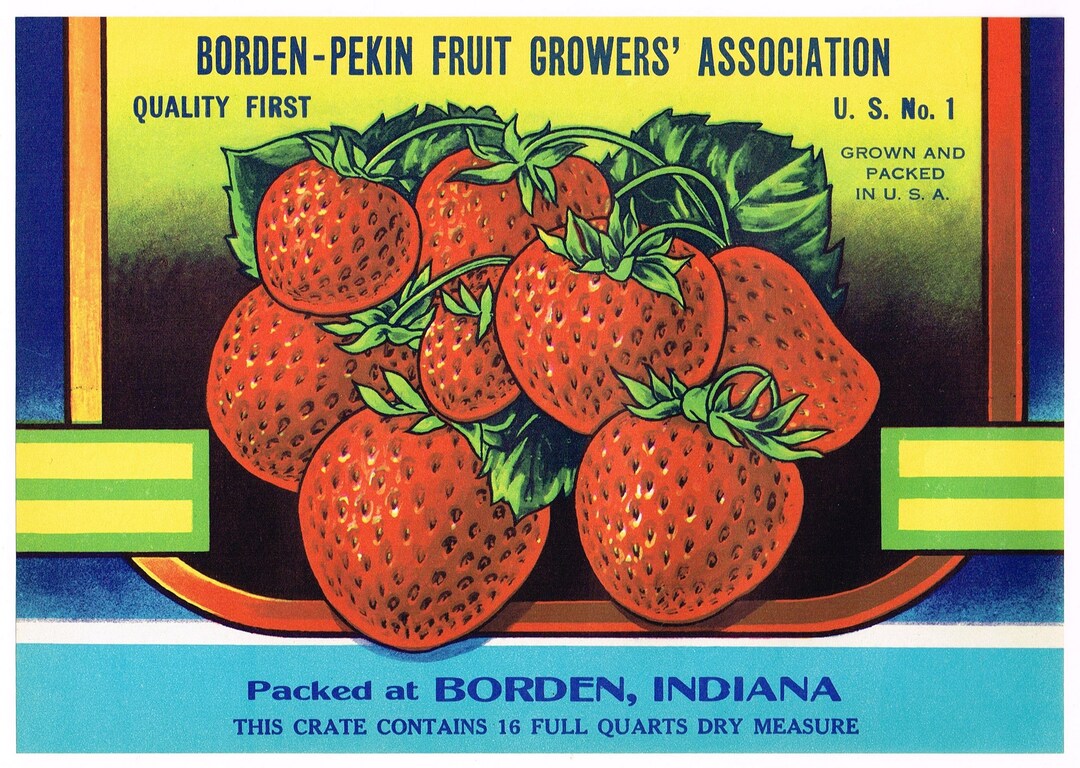 Original Vintage Berry Crate Label 1950s Borden Pekin Indiana ...