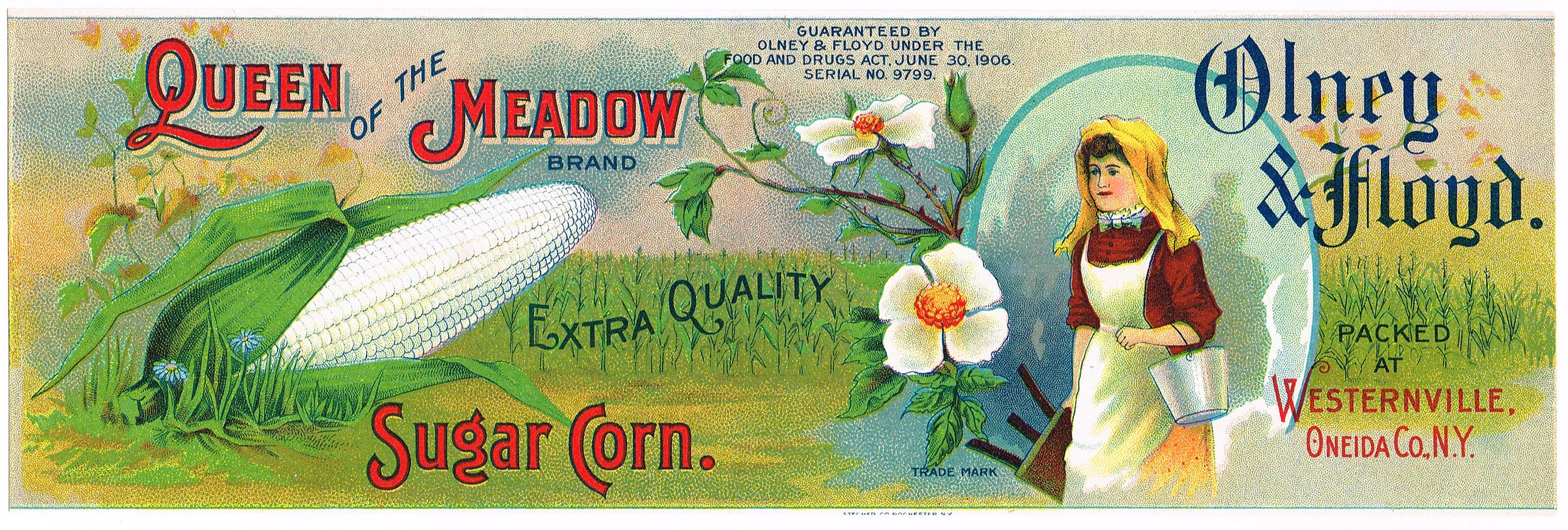 original-vintage-tin-can-label-c1910s-queen-of-the-meadow-etsy