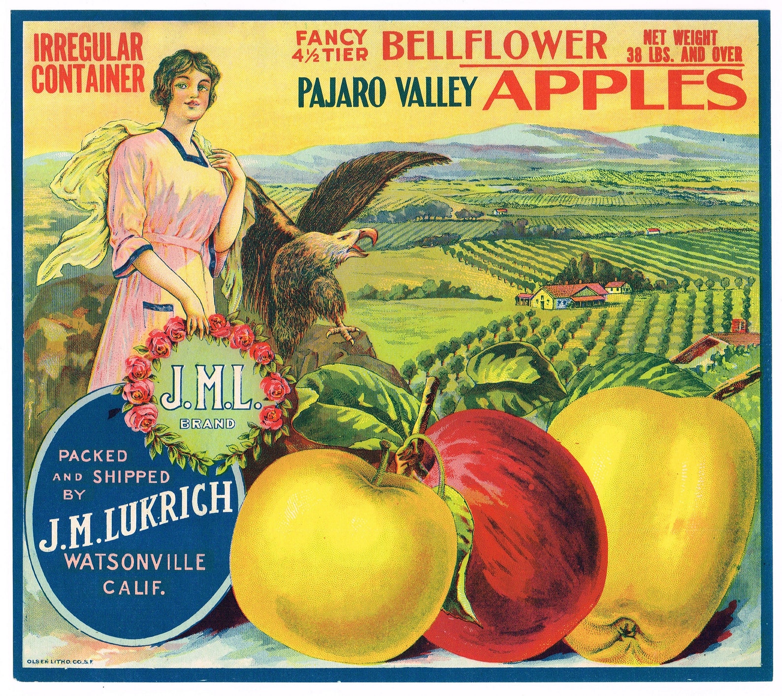 Original Vintage Apple Crate Label C1915 JML Eagle Watsonville - Etsy