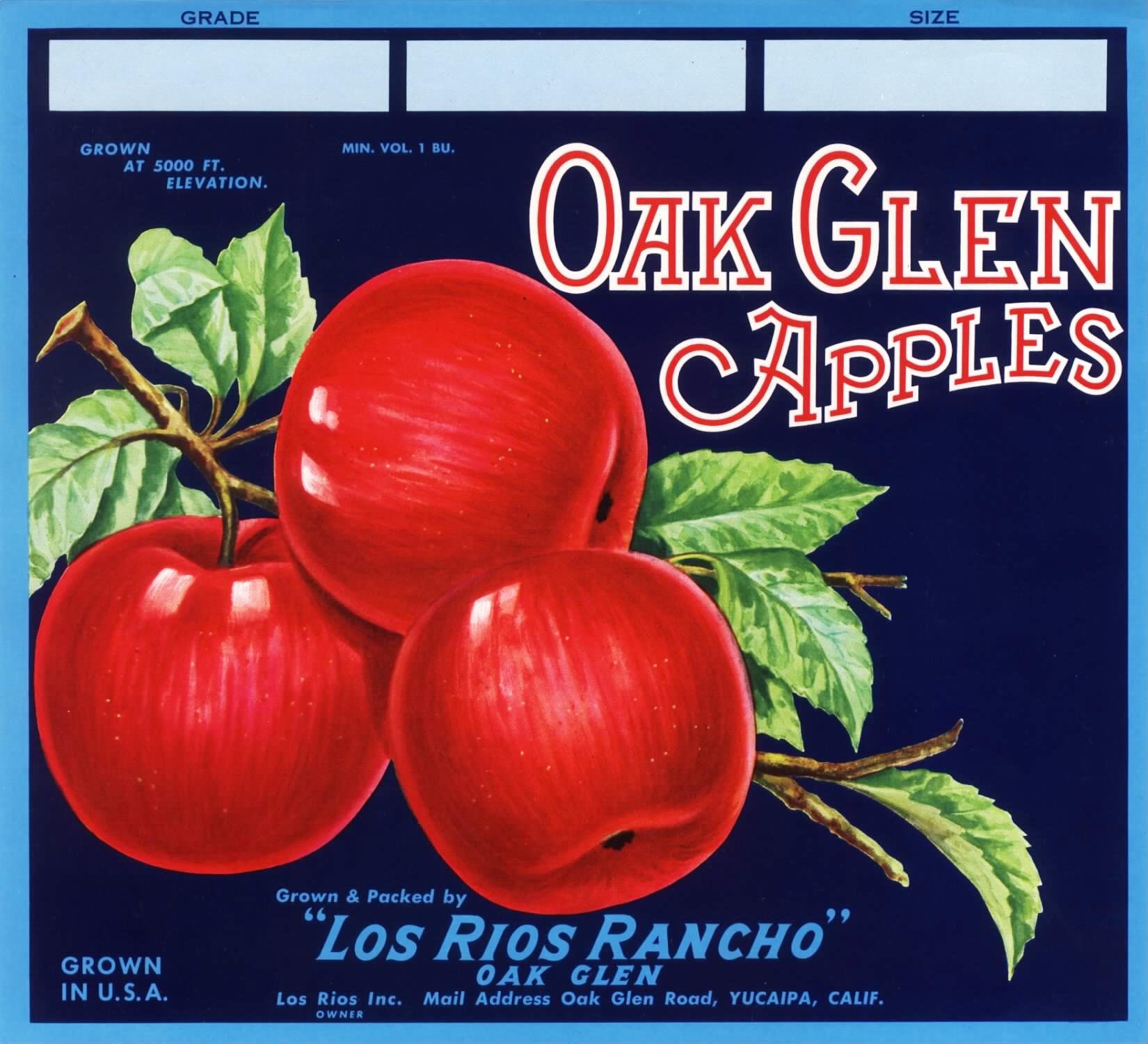 Original Vintage Apple Crate Label 1940s Oak Glen Mountain Apples ...