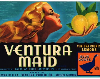 Original Vintage Lemon Crate Label 1930s Pacific Maid Art Deco | Etsy