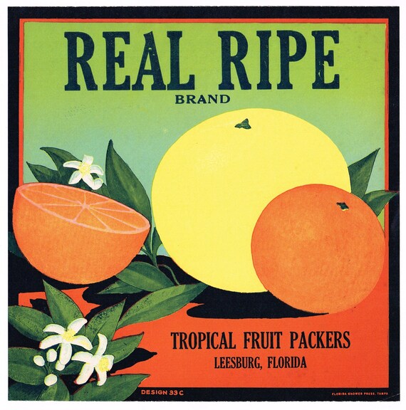Original Vintage Florida Citrus Crate Label C1930s Real Ripe | Etsy