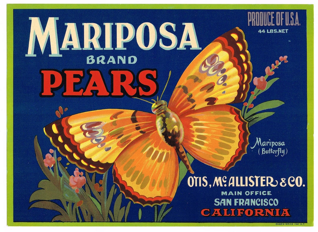 Original Vintage Pear Crate Label 1930s Mariposa Butterfly San ...