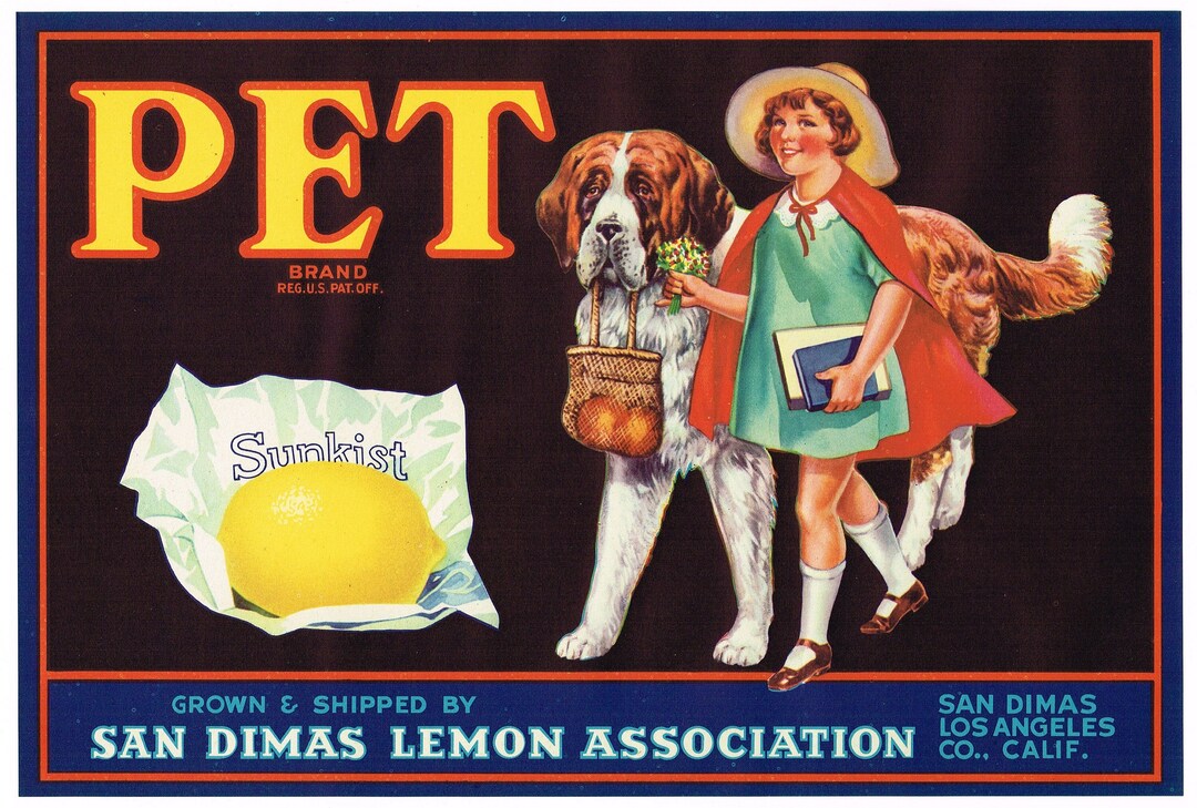 Original Vintage Lemon Crate Label 1930s Pet Saint Bernard Dog San ...