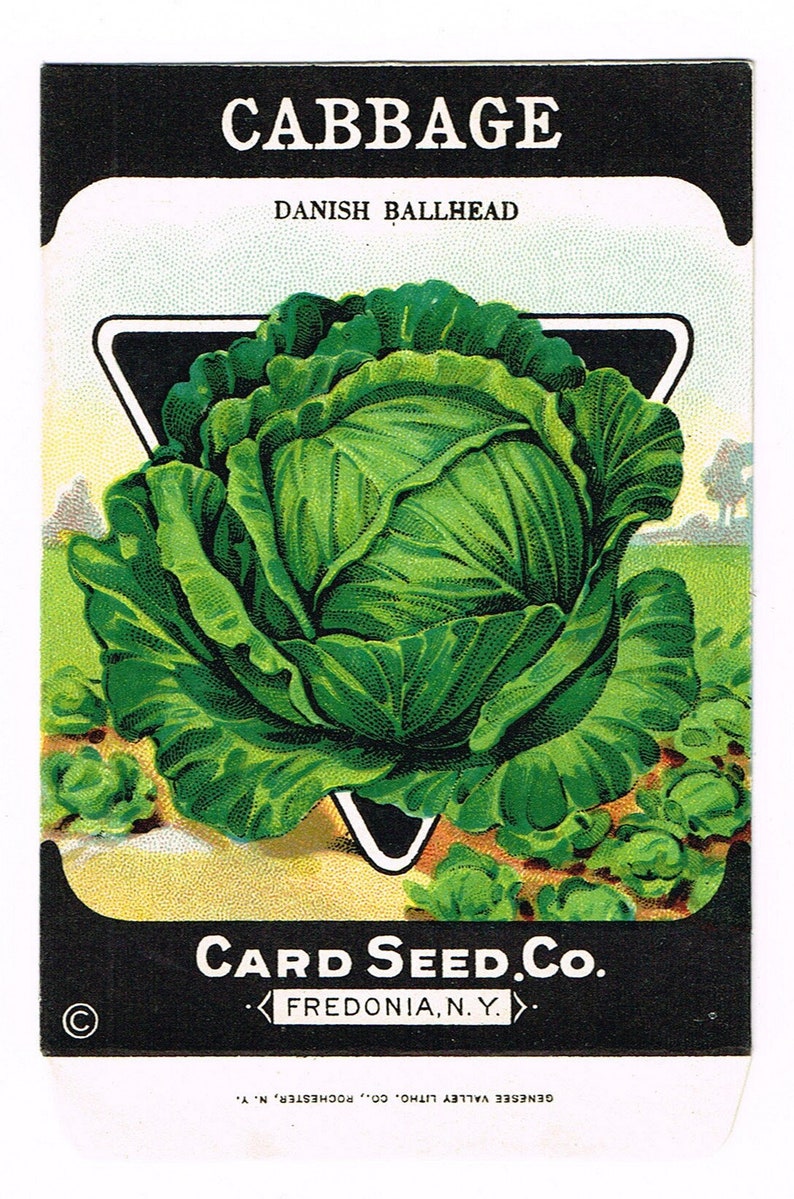 Original Vintage Seed Packet Pack NOS C1920 General Store Garden Folk ...