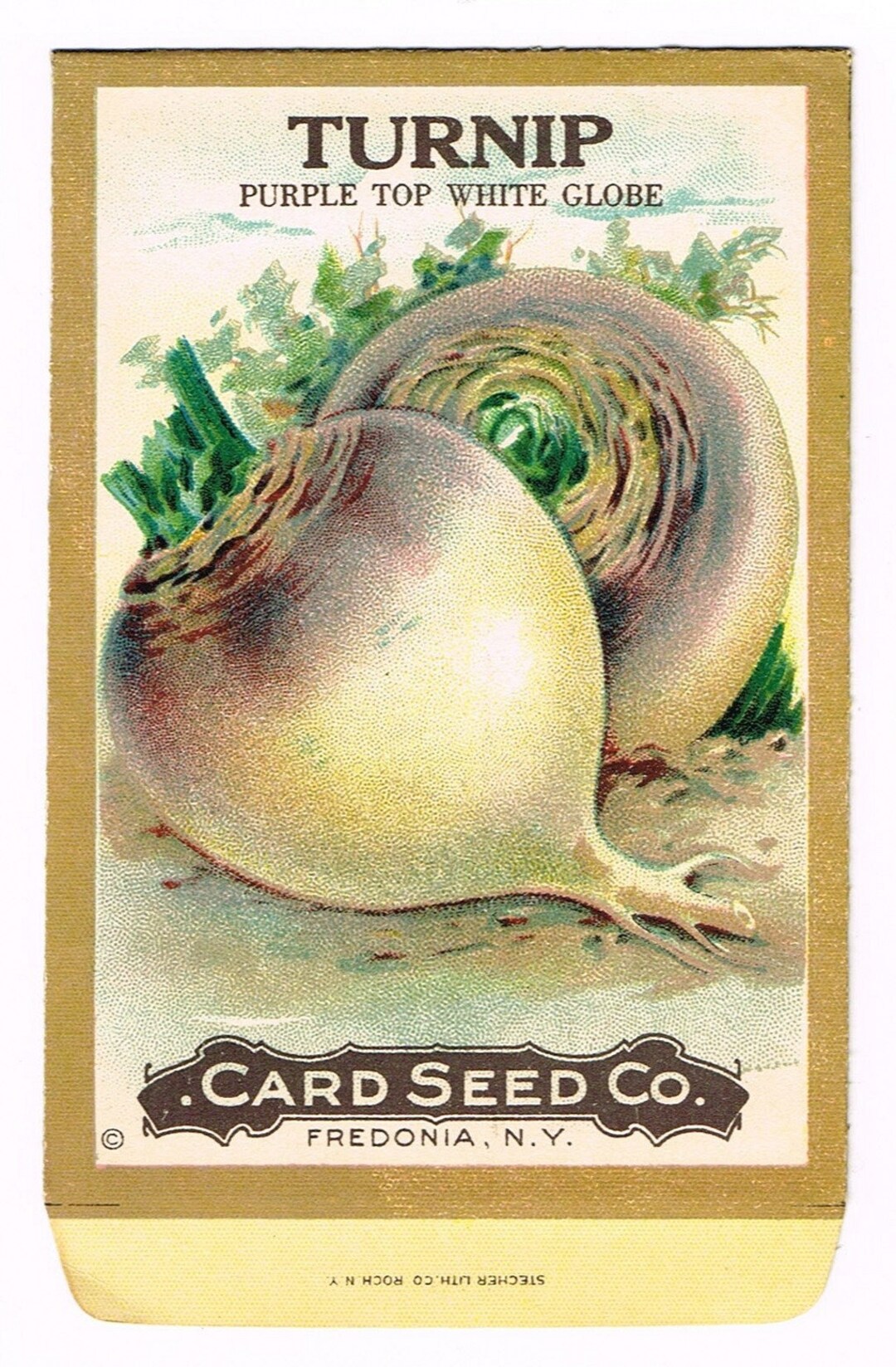 Original Vintage Chromolithographed Seed Packet Pack NOS C1910 General ...