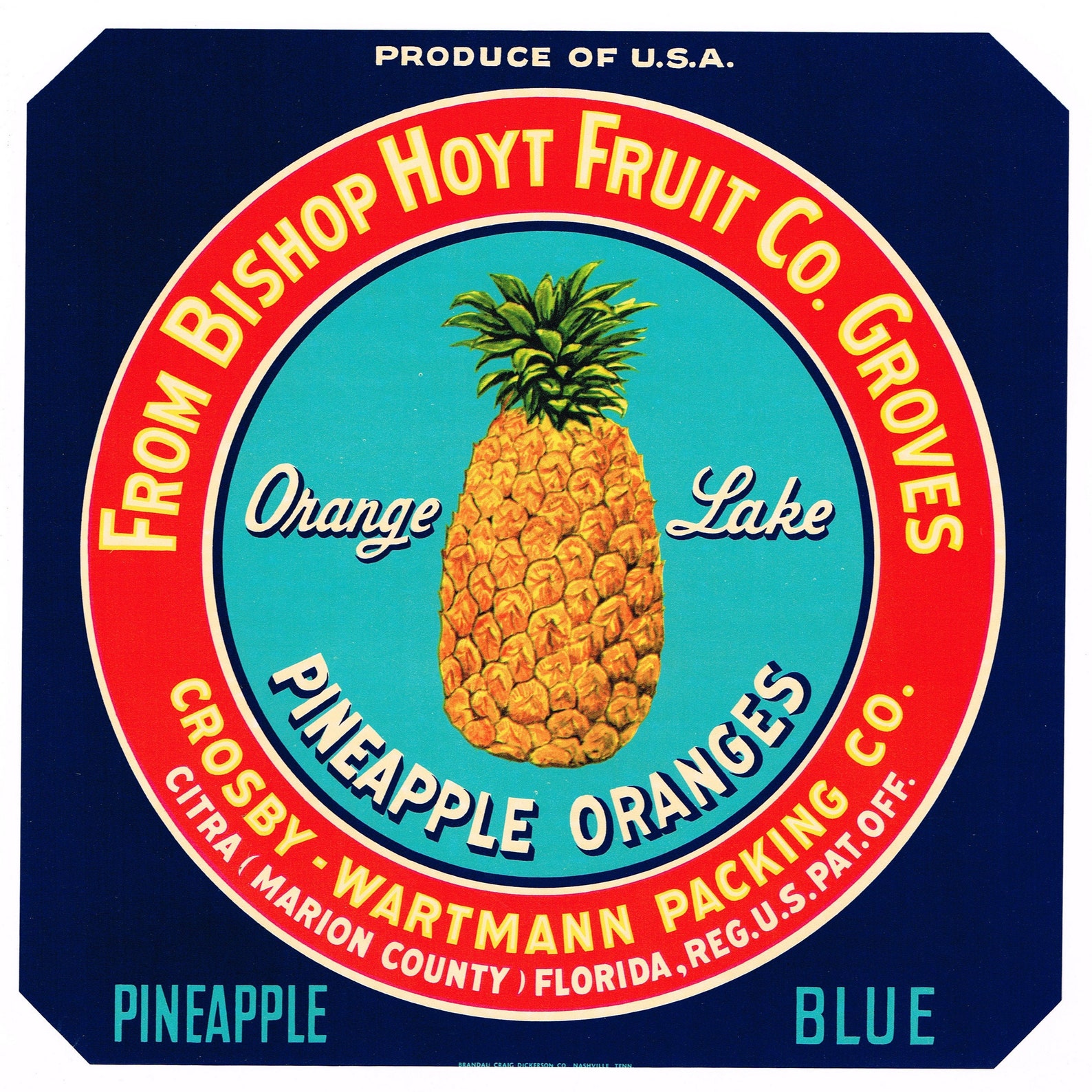 Original Vintage Florida Citrus Crate Label C1930s Pineapple Citra ...