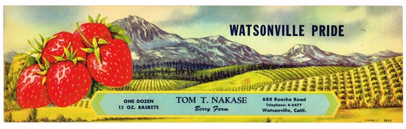 Original Rare Vintage Strawberry Crate Label 1950s Strawberry - Etsy