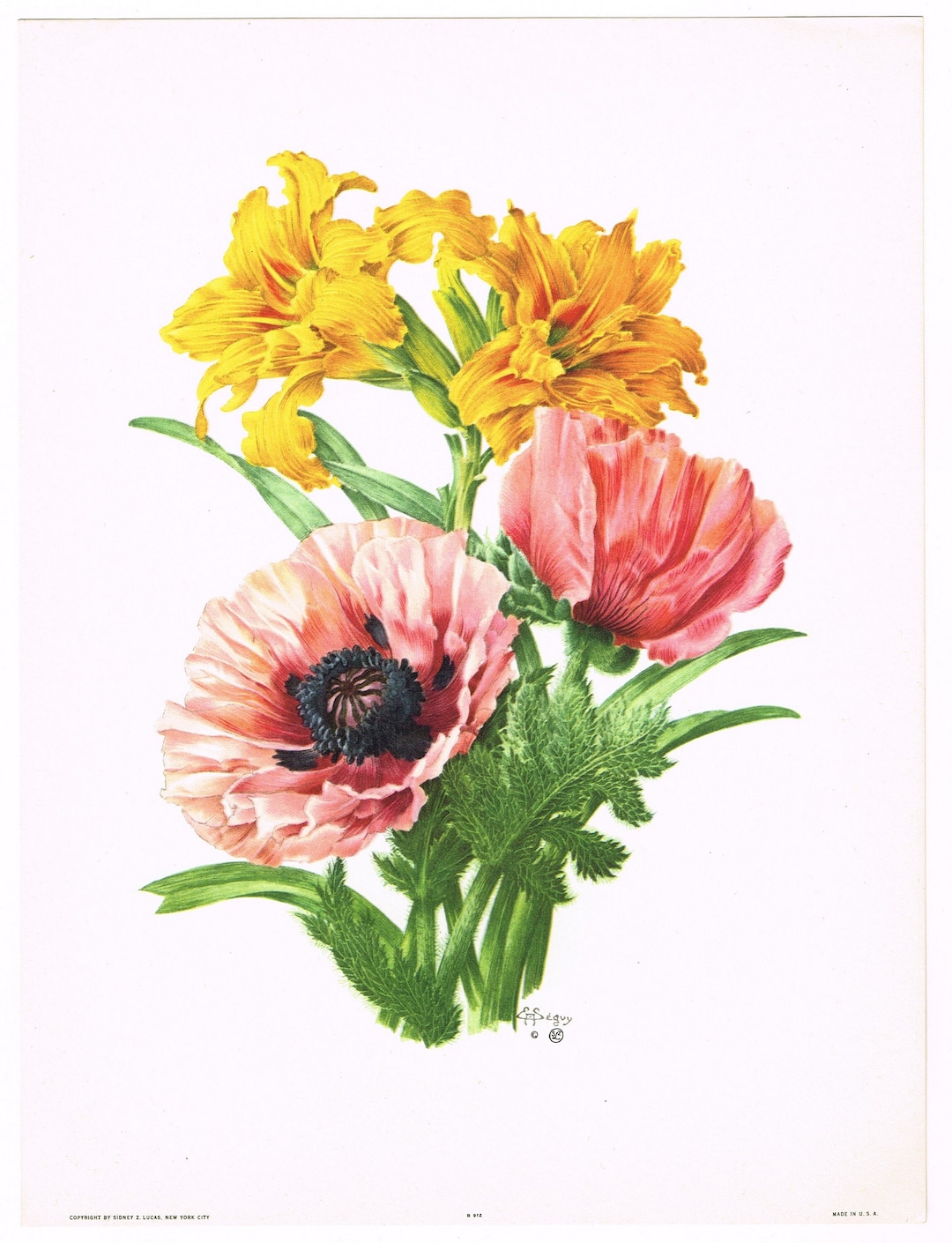 Original Vintage Print 1940s Floral Flowers Segvy New York City - Etsy
