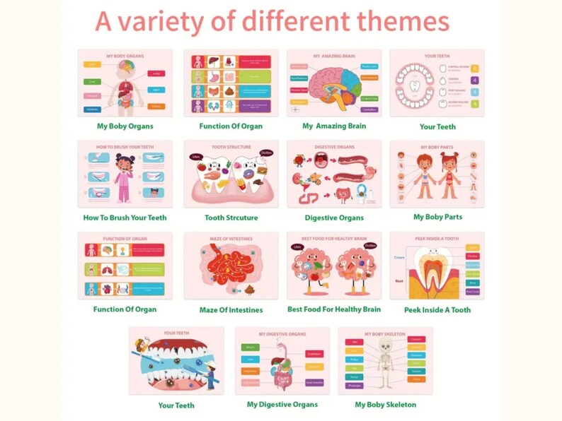 Montessori Human Body Busy Book Printable – Preschool Anatomy Learning ...