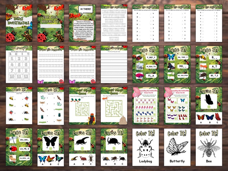 Insect Busy Book Printable | Bug Activity Binder for Toddlers | Tracing ...
