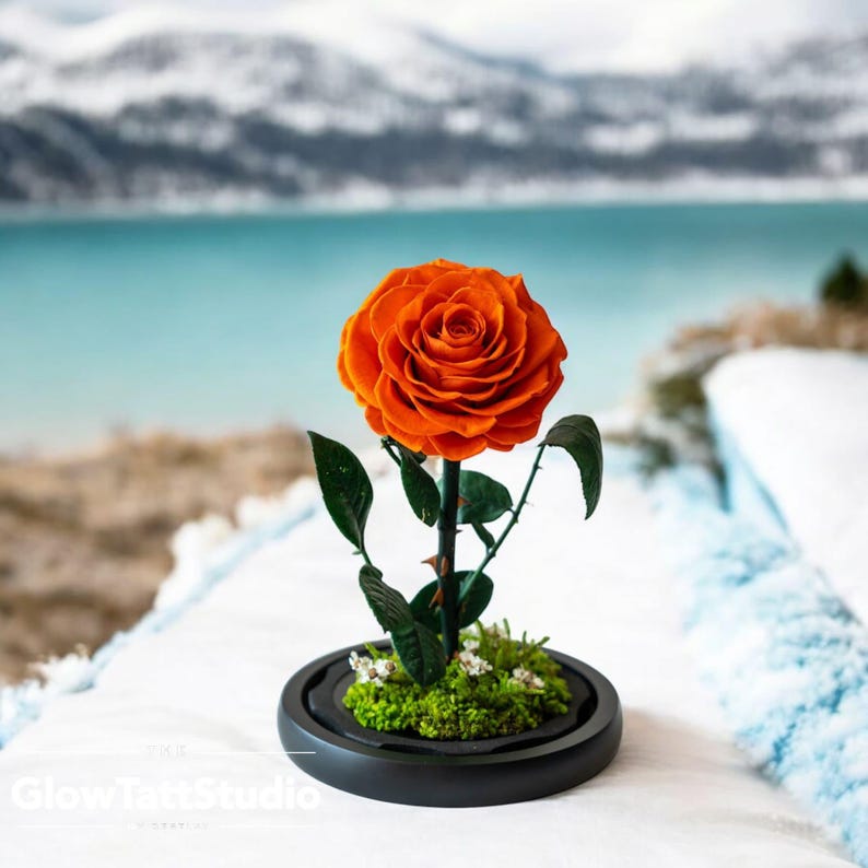 Forever Rose in Glass Dome - Preserved Flower Gift for Wedding ...