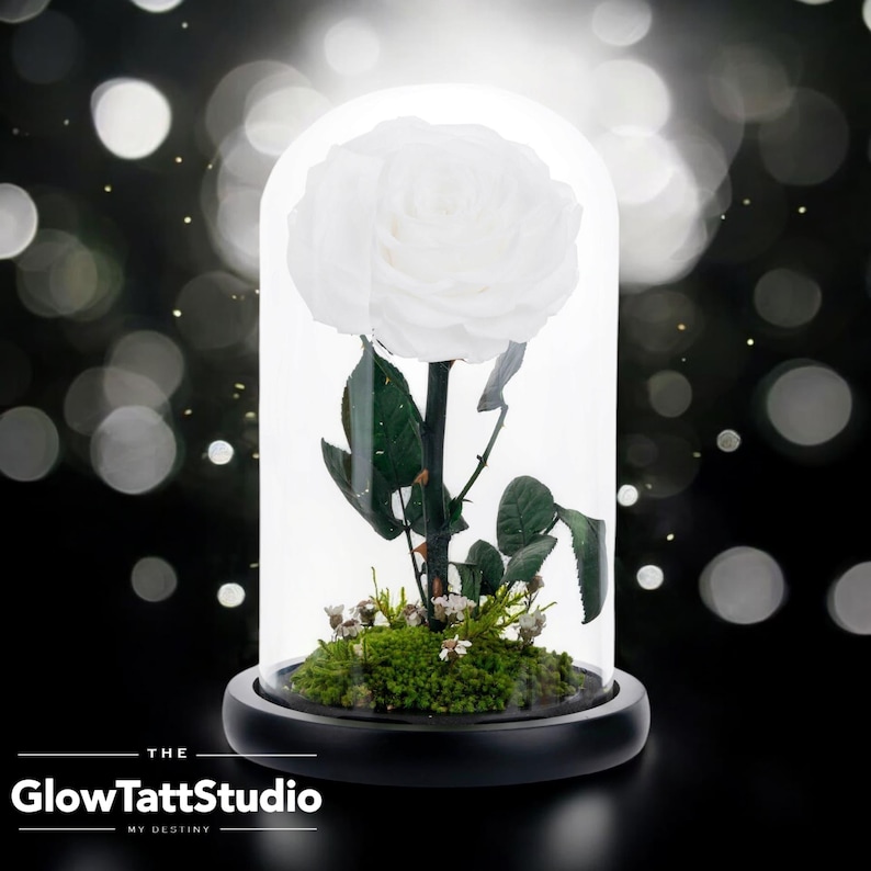 Forever Rose in Glass Dome - Preserved Flower Gift for Wedding ...
