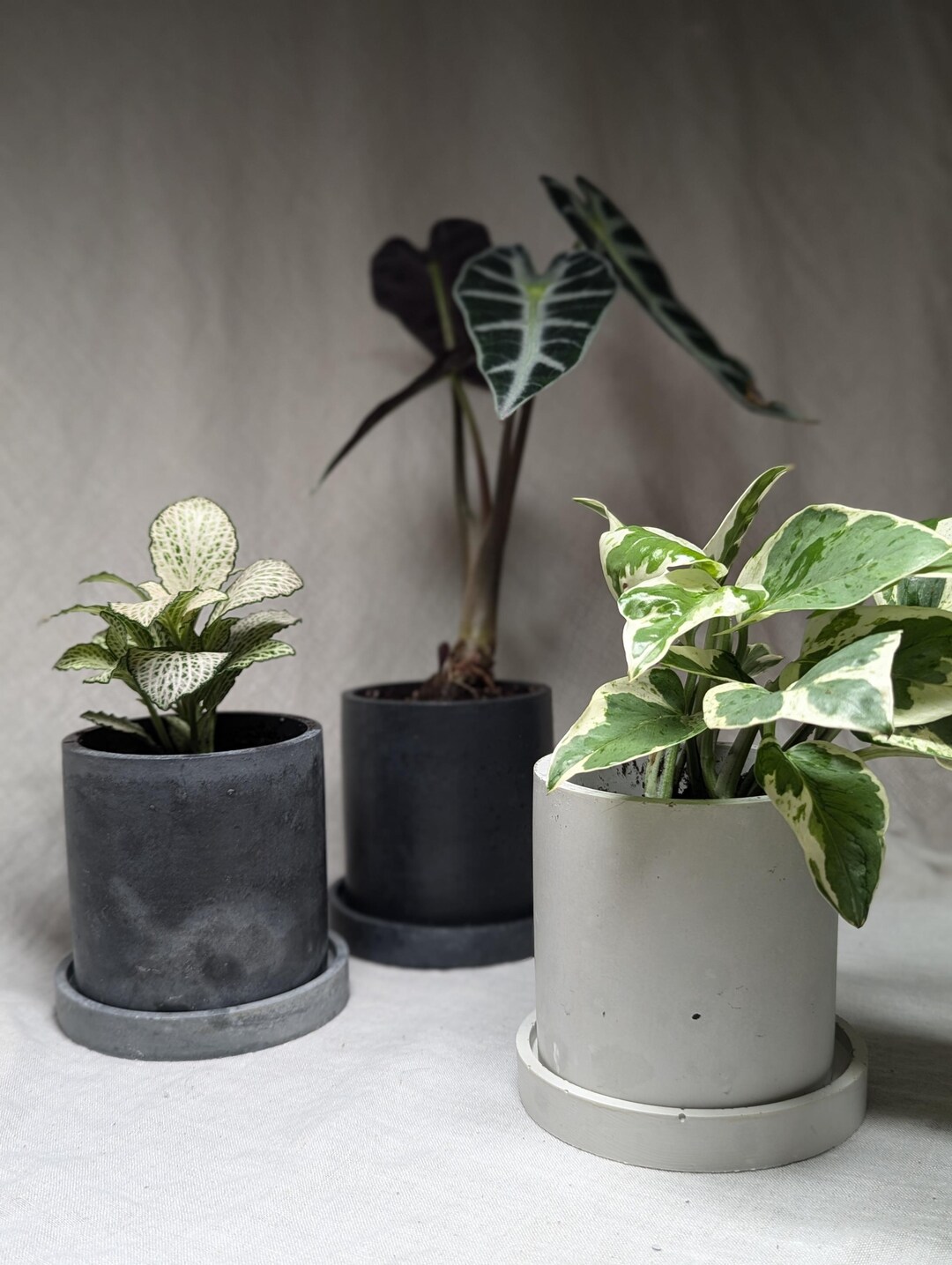 3.5" Small Cement Planter | Handmade Concrete Indoor Pot Gift for ...