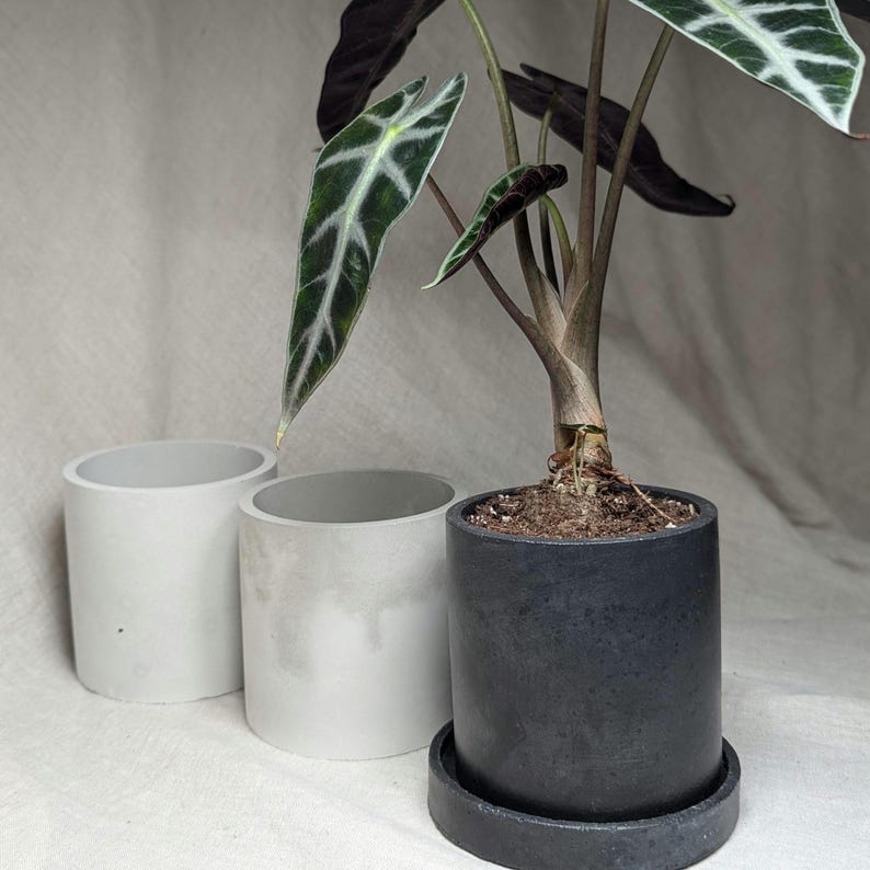 3.5" Small Black Cement Planter | Handmade Concrete Indoor Pot Gift for ...
