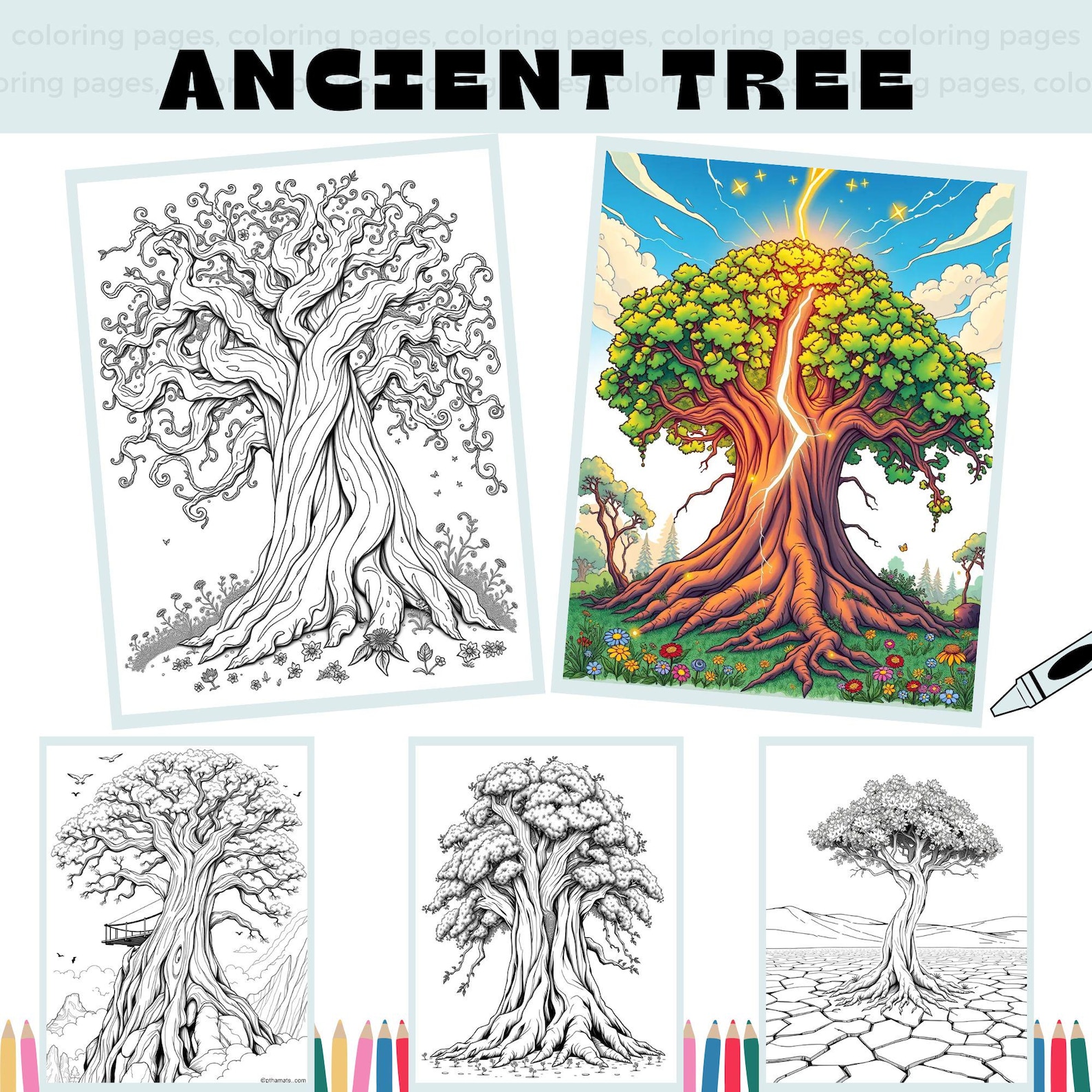 Ancient Tree Coloring Pages for Kids & Adults, Printable PDF, Fun ...