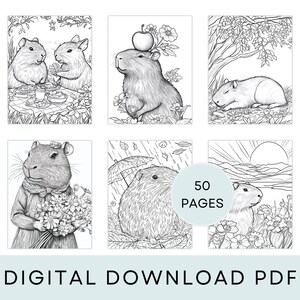 Capybara World Coloring Pages - Adult and Kids Coloring Book, Capybara ...