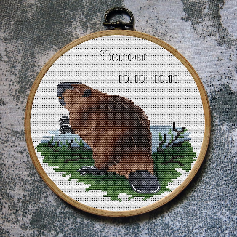 Beaver Plastic - Etsy