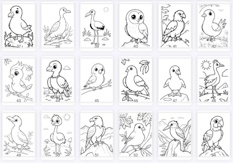 100 Bird Coloring Pages | Kids & Teens Activity (digital Download PDF ...