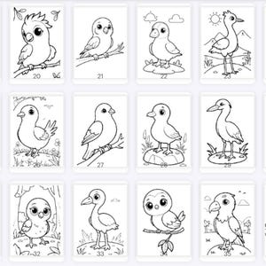100 Bird Coloring Pages | Kids Bird Activity | Bird Coloring Book ...