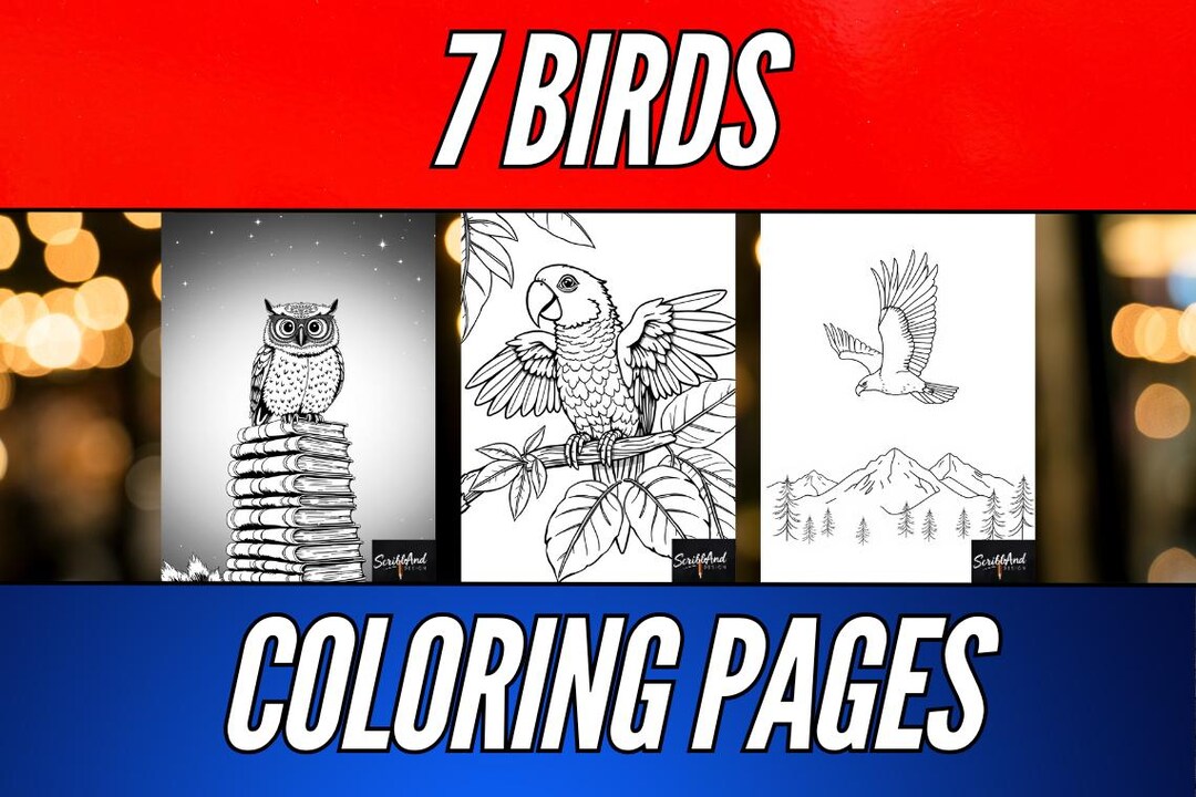 7 Bird Coloring Book - Printable Cute Bird Pages for Kids & Adults ...