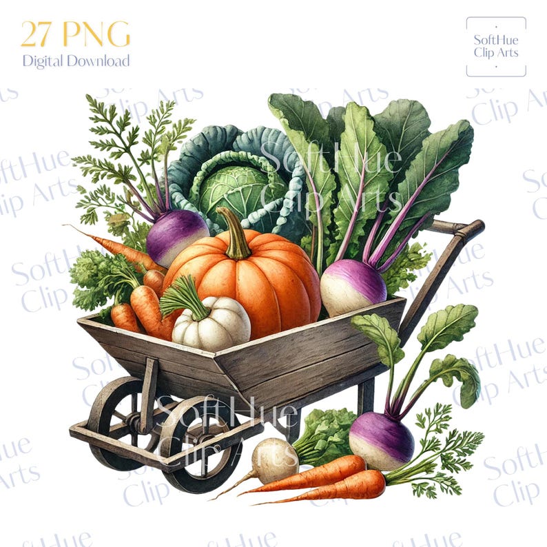 27 Rustic Garden Vegetables Clipart PNG Bundle – Farm Fresh Watercolor ...