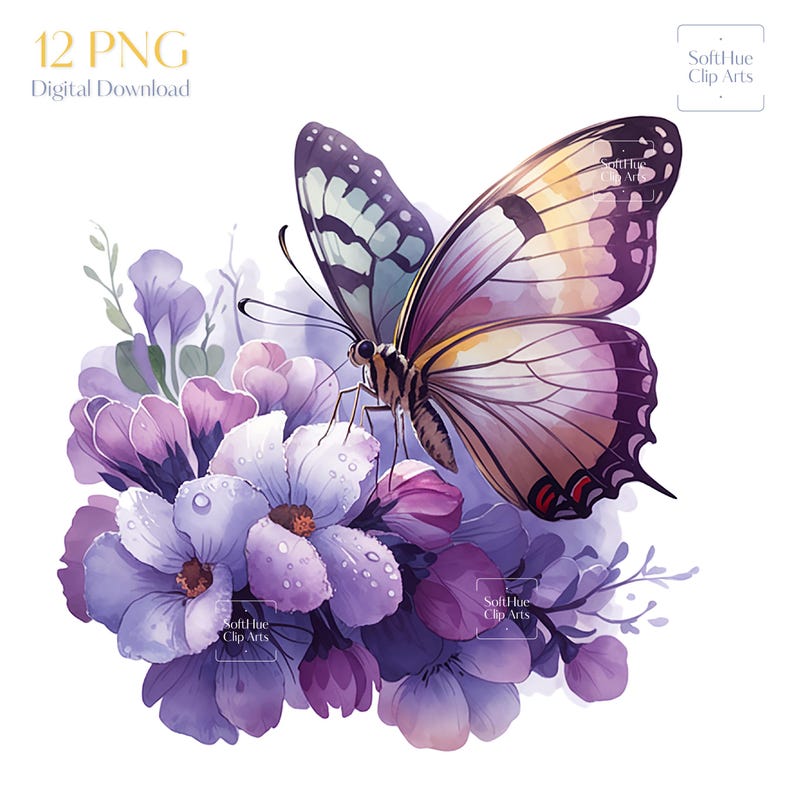 Watercolor Butterfly & Floral Clipart, Spring PNG Set, Hand-painted ...